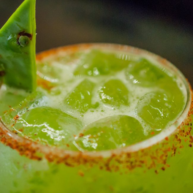 Gallery - Mexican Food and Drinks at El Agave Restaurant & Tequileria